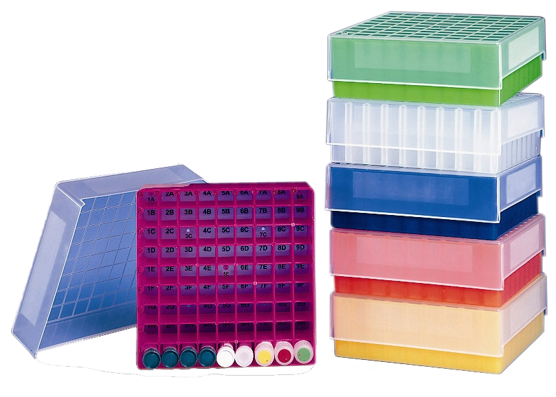 LABREPCO | 2 inch polypropylene boxes (with cell dividers)