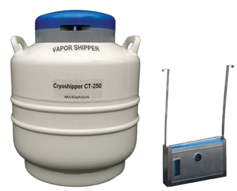 MVE CT-250 Blood Bag Cryoshipper (Capacity: 2 x 250mL Blood Bags ...