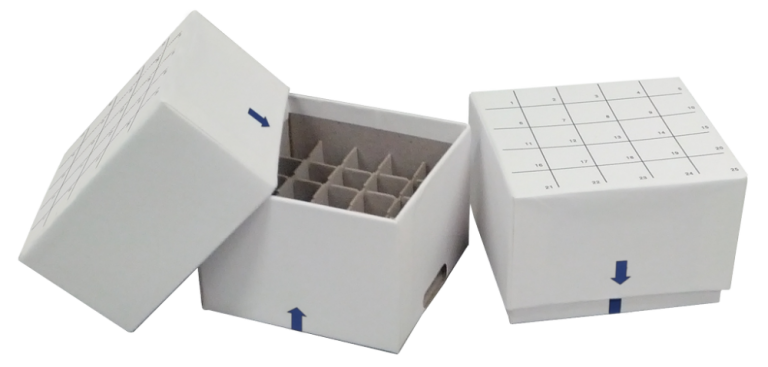 2" Mini Fiberboard Boxes With Gridlines, Drain Holes, and 25 Cell Dividers