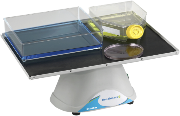 Benchmark Scientific QuadRocker Four Tier Rocker | LabRepCo, LLC