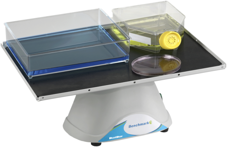 Everlast™ Rocker 247 with Flat Mat (16" x 12") | LabRepCo, LLC