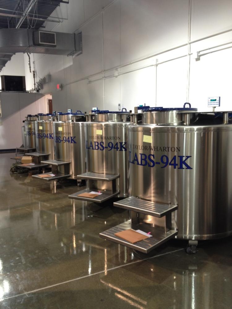 IC Biomedical LABS 94K LN2 Freezer System (Capacity: 93,000 x 2.0 ml ...