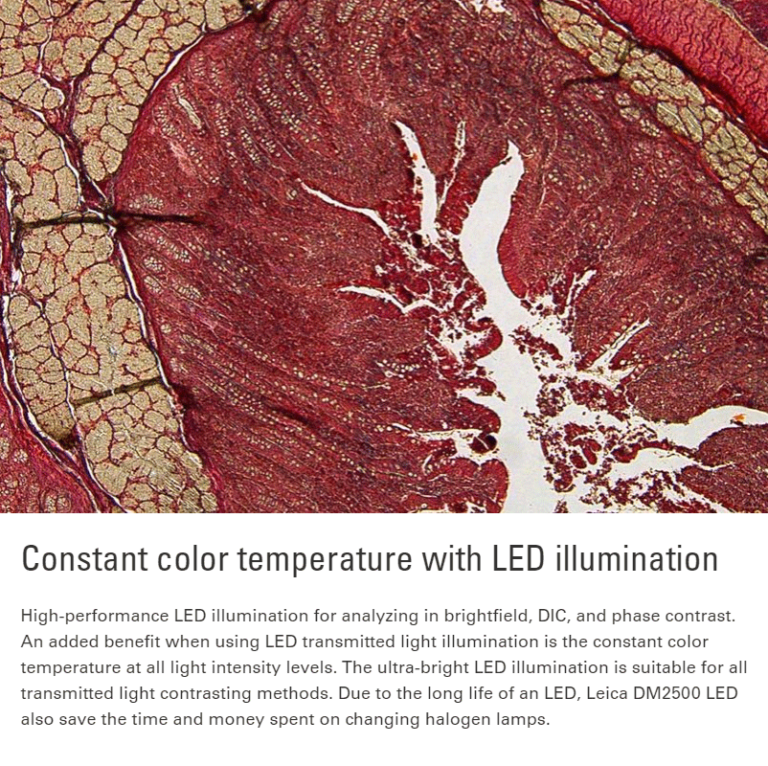 Leica DM2500 Microscope System | LabRepCo, LLC