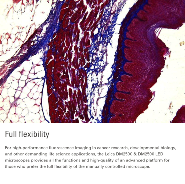 Leica DM2500 Microscope System | LabRepCo, LLC