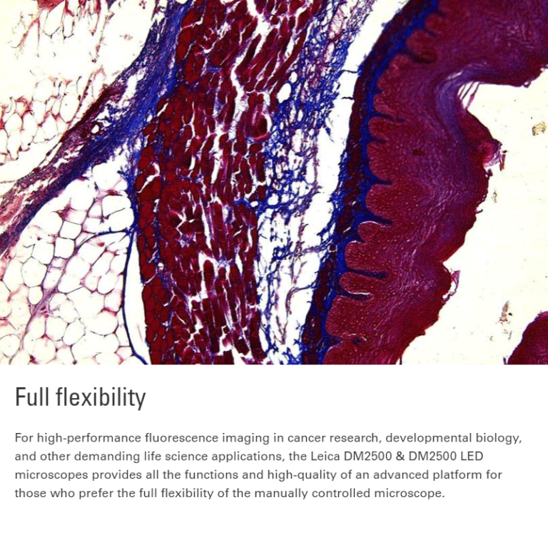 Leica DM2500 Microscope System | LabRepCo, LLC