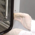 Clean Cell Culture Incubators [6 Step Guide]