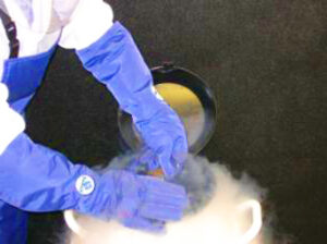 Liquid Nitrogen LN2 Handling & Safety Tips | LabRepCo, LLC