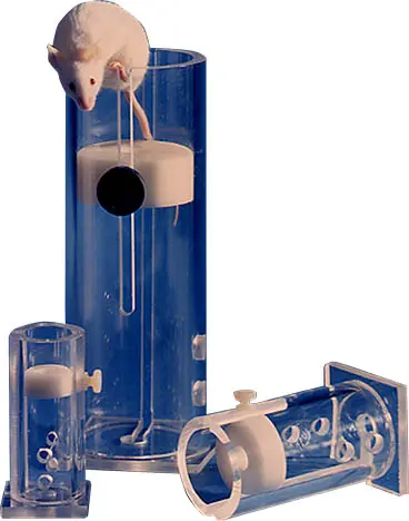 Rodent Restrainers | Lab Animal Restrainers | PLAS-LABS, Inc.