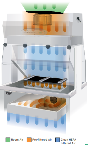 Animal Handling Biosafety Cabinets and Animal Transfer Stations