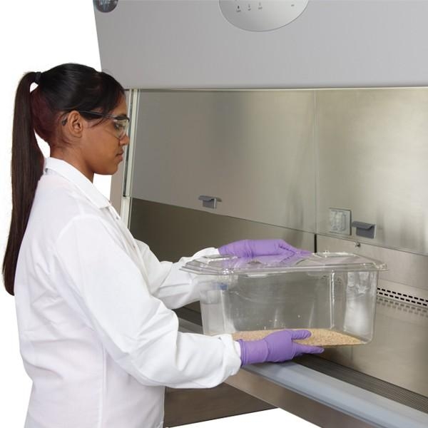 Animal Handling Biosafety Cabinets and Animal Transfer Stations